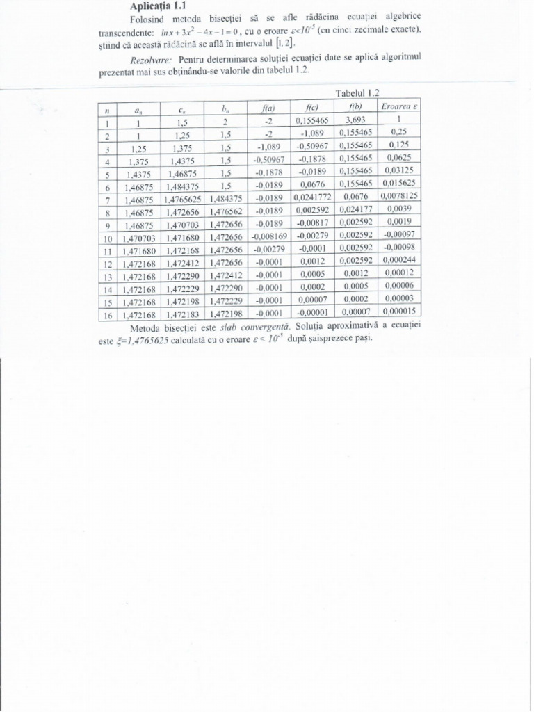 Seminar 1 Metode Numerice | PDF