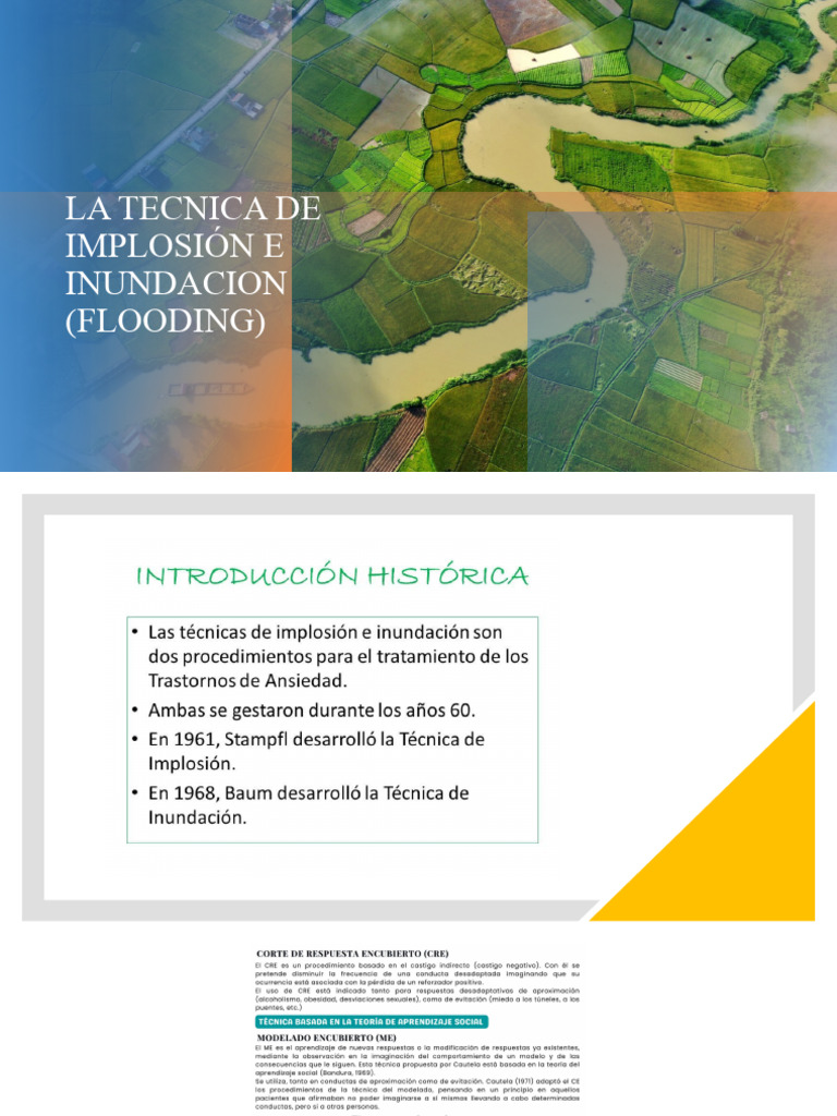 LA TECNICA DE IMPLOSIÓN E INUNDACION | PDF | Fobia | Las emociones