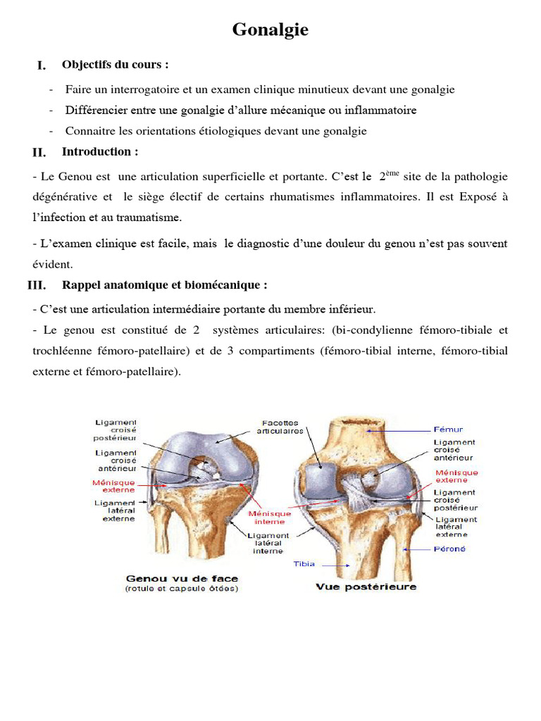 Bilan et diagnostic de la gonalgie | PDF | Genou | Arthrose