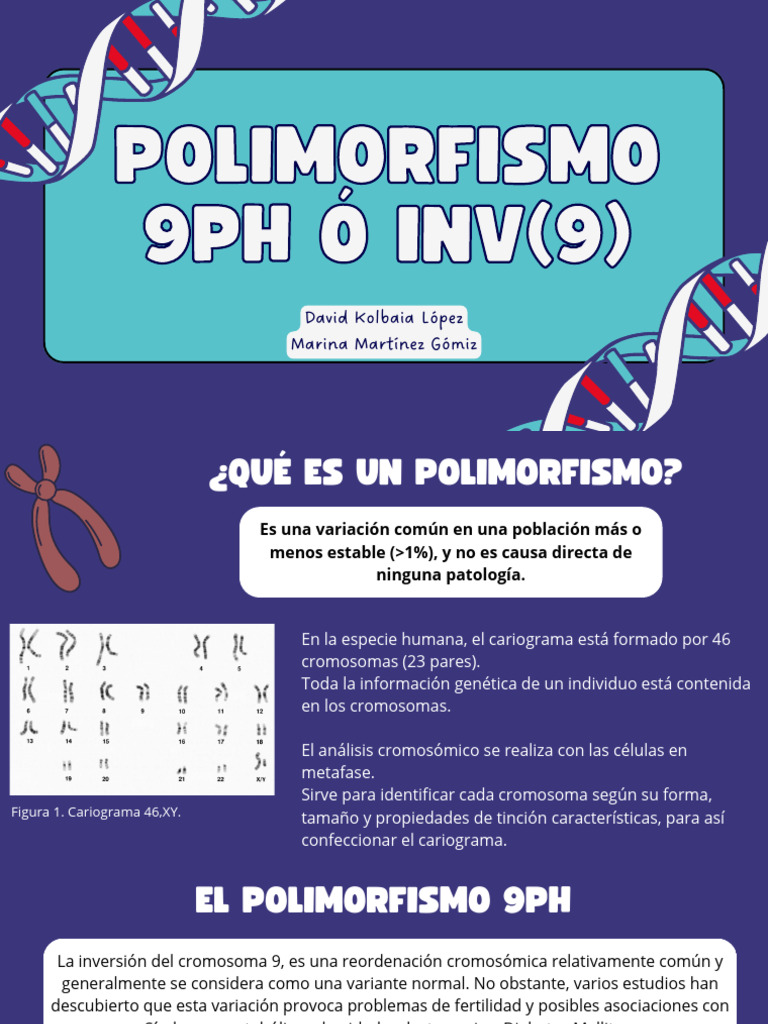 Polimorfismo y Cromosoma 9 | PDF | Cromosoma | Cariotipo