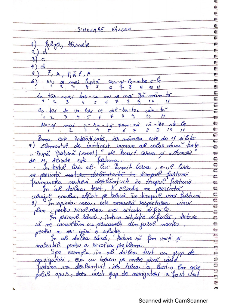 Rezolvare Model de Simulare Valcea | PDF