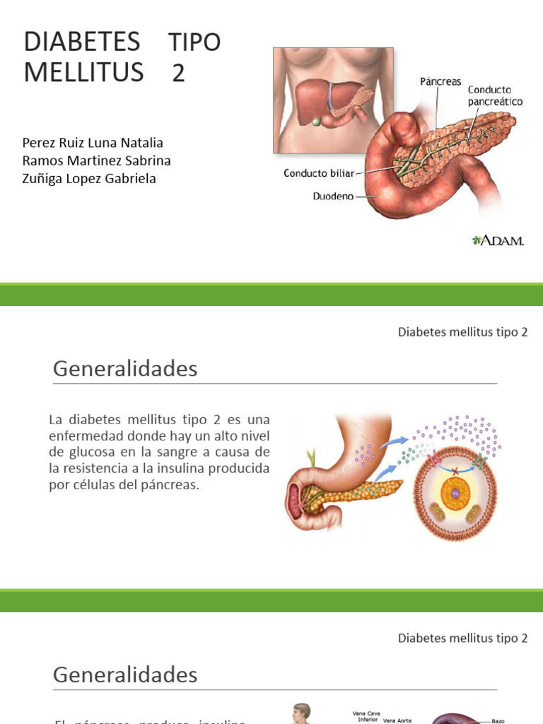 Diabetes mellitus tipo 2 | PDF | Diabetes | Insulina
