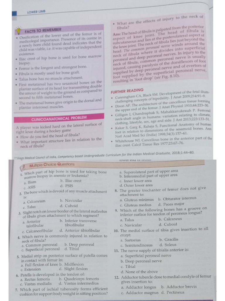 Lower Limb Pdf