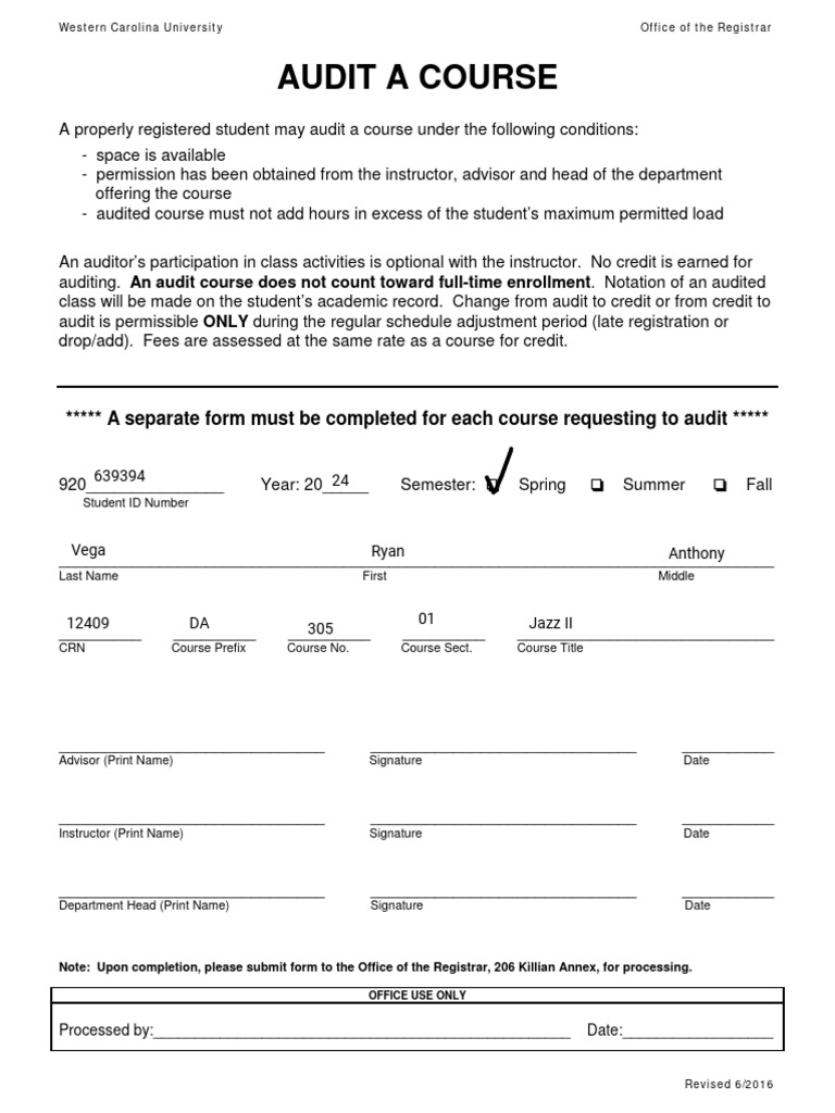 Jazz 2 Audit Form | PDF