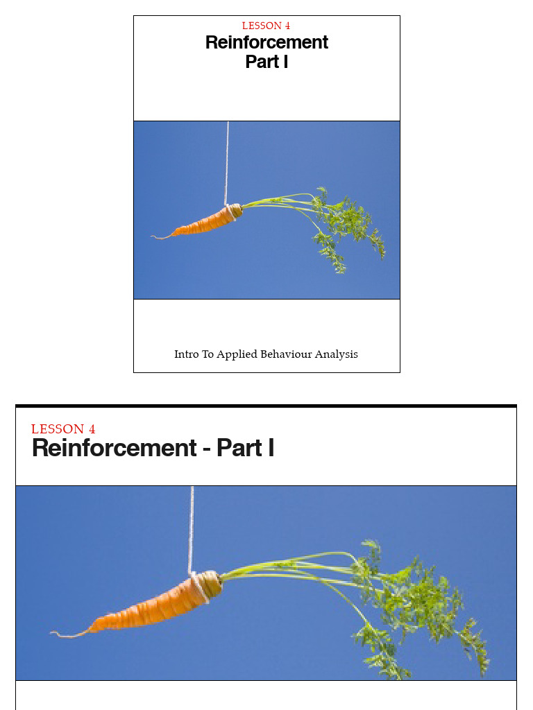 3b-Reinforcement Part 1 | PDF | Reinforcement | Attention