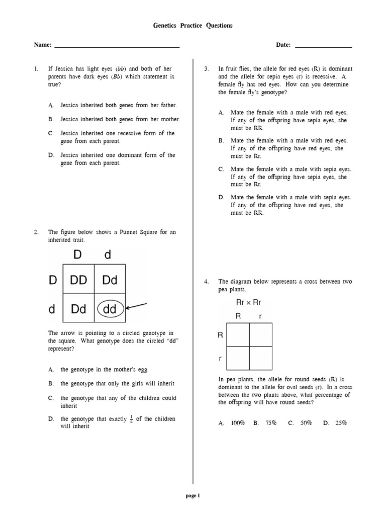 Genetics Practice Questions Pdf Dominance Genetics Zygosity 0541