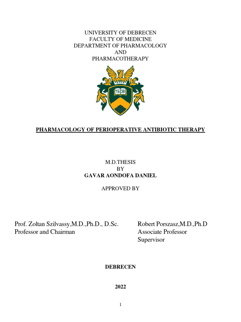 Thesis Final Draft | PDF