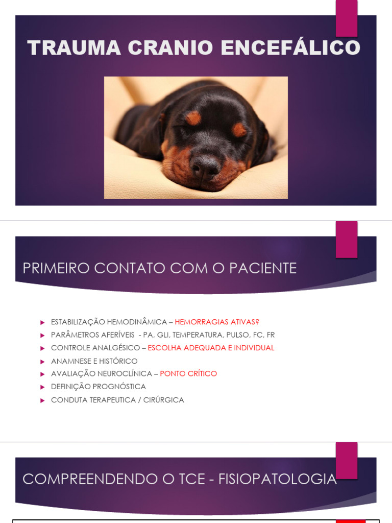 Trauma Cranio Encefálico PDF | PDF | Cortisol | Coma
