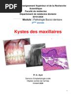 Anatomie de la Face Occlusale Dentaire | PDF | Dent humaine | Arts du ...