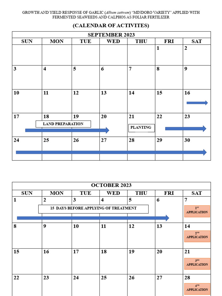 GARLIC (Calendar of Activities) | PDF | Garlic | Vegetables