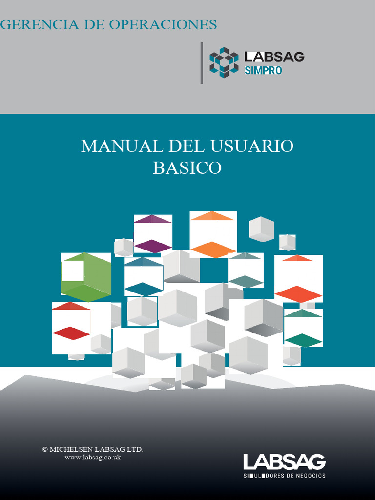 Simpro Basico Usuario PDF | PDF | Simulación | Toma de decisiones