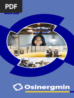 Rol y Funciones Del Osinergmin | PDF | Minería | Monopolio