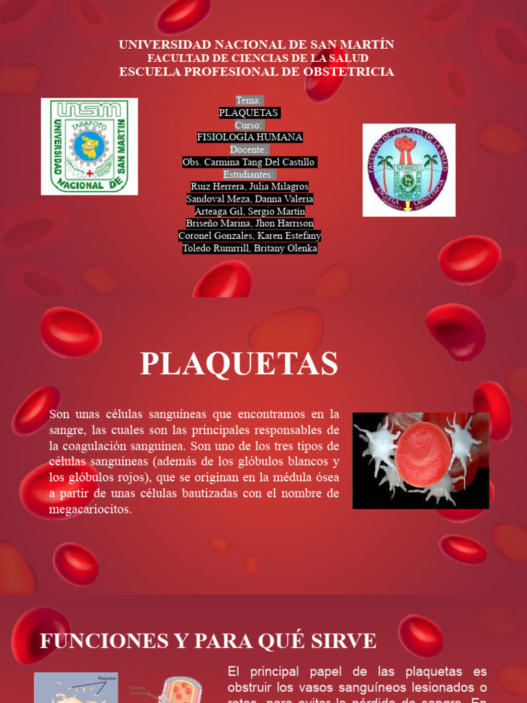 PLAQUETAS! | PDF