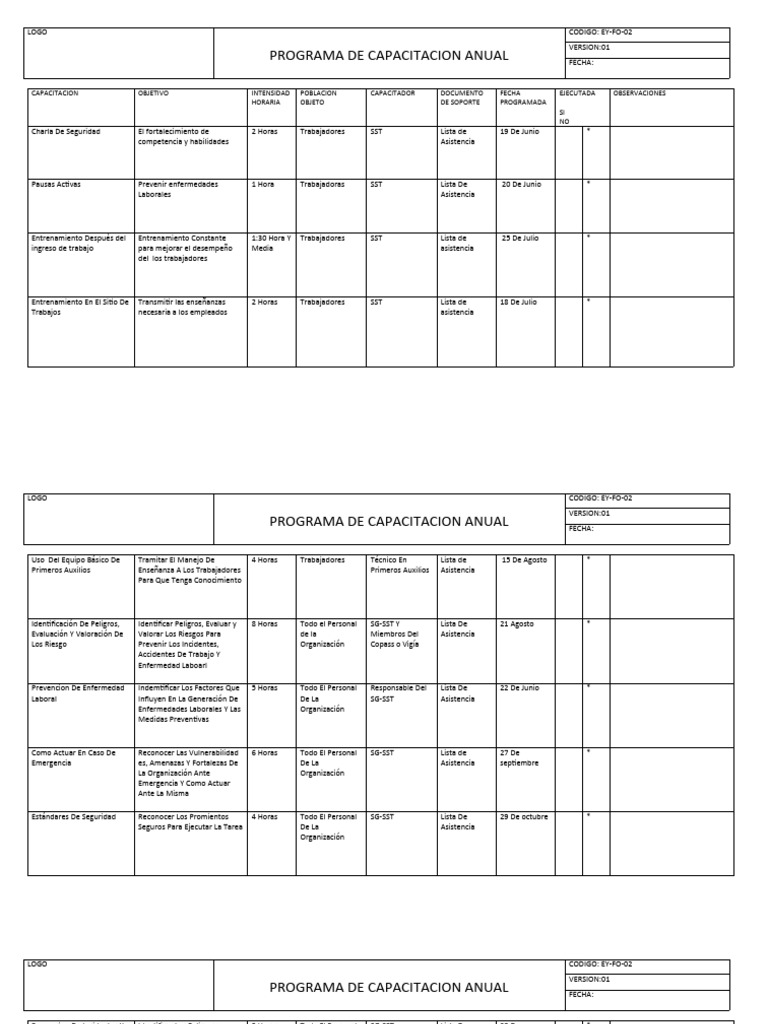 Formato de Programa de Capacitacion Anual Grupo | PDF