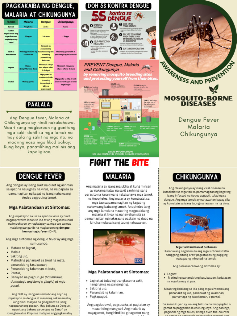 Dengue, Malaria, and Chikungunya Awareness | PDF