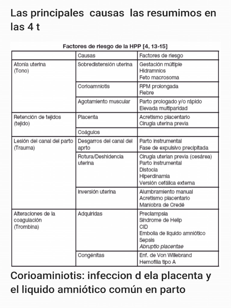 Código Rojo Obstetricia - 230724 - 103421 | PDF