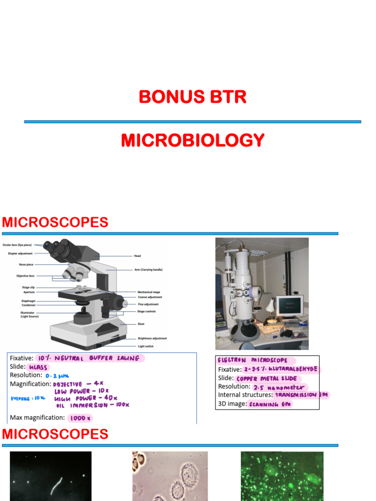 Bonus BTR Microbiology | PDF | Staining | Microscopy
