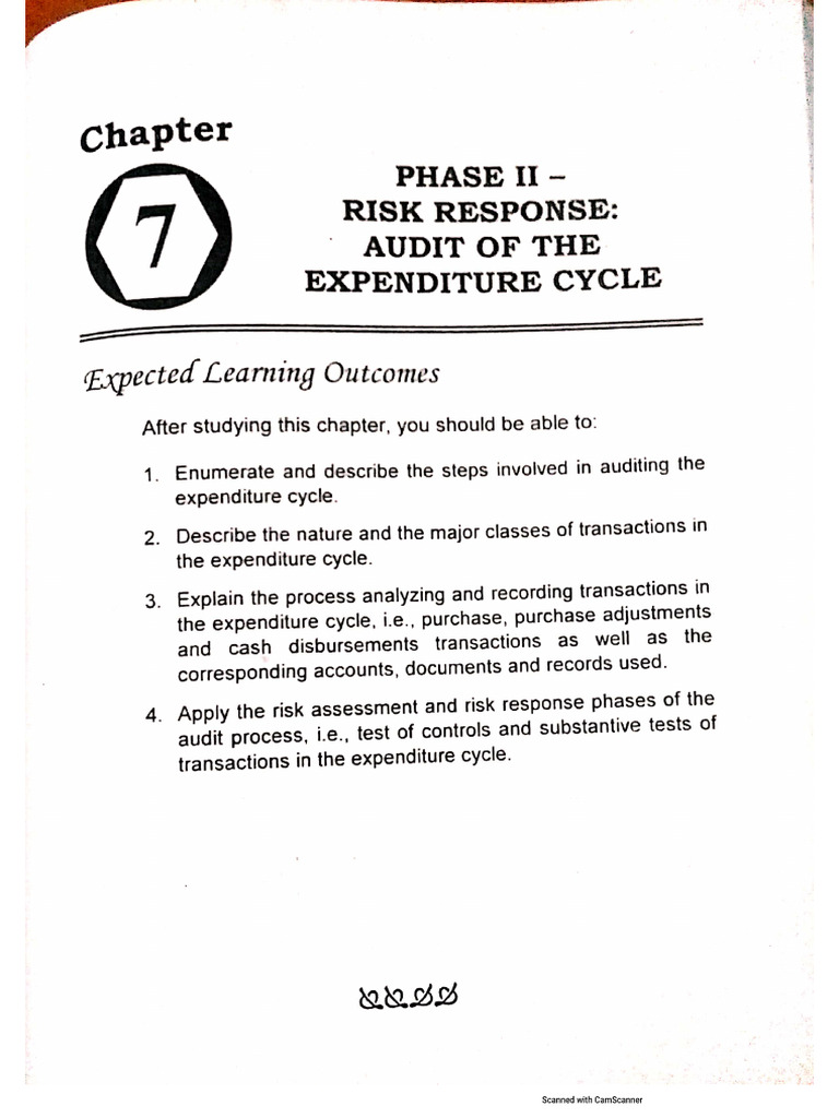 Chapter 7 - Phase II - Audit of Expenditure Cycle | PDF