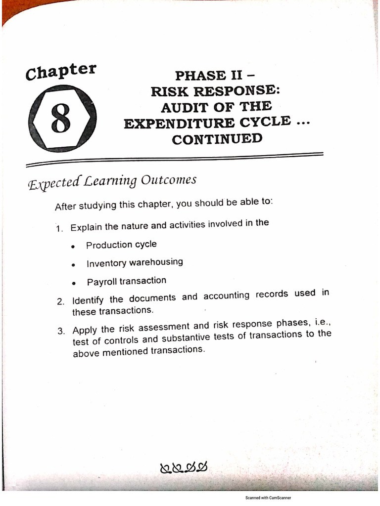 Chapter 8 - Audit of Expenditure Cycle | PDF