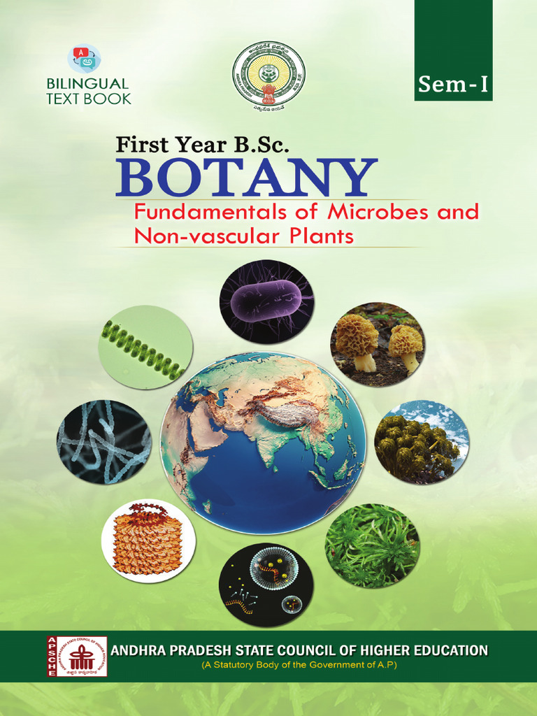 Origin of Life and Viruses in Botany | PDF | Virus | Cell (Biology)