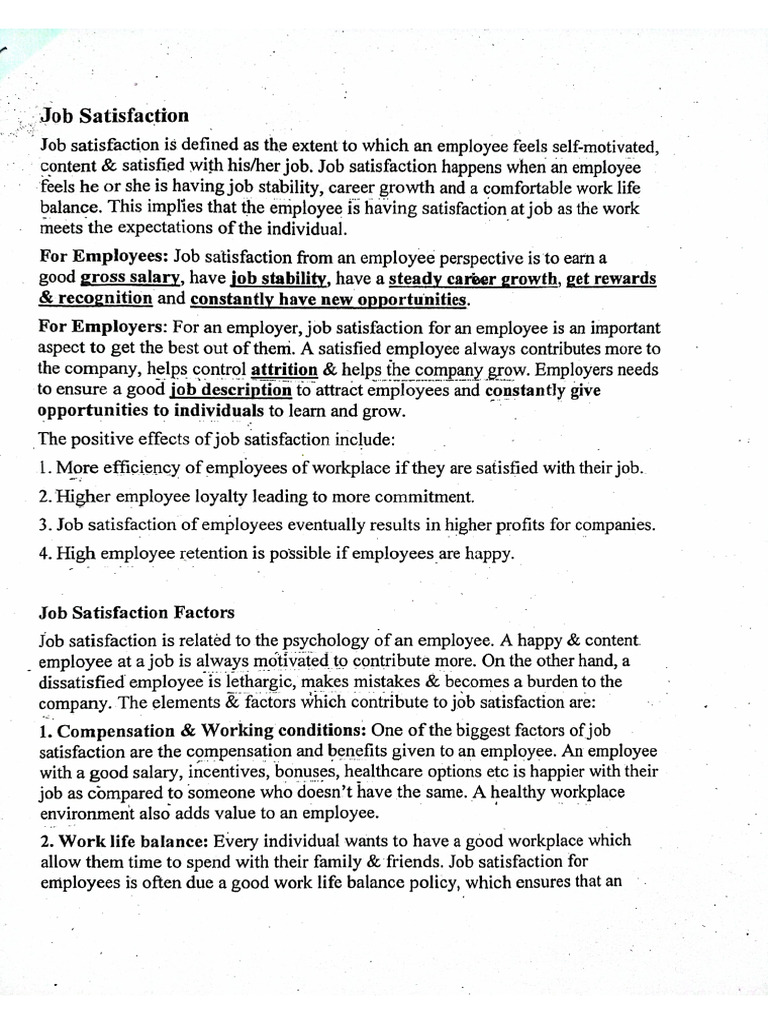 Job satisfaction | PDF