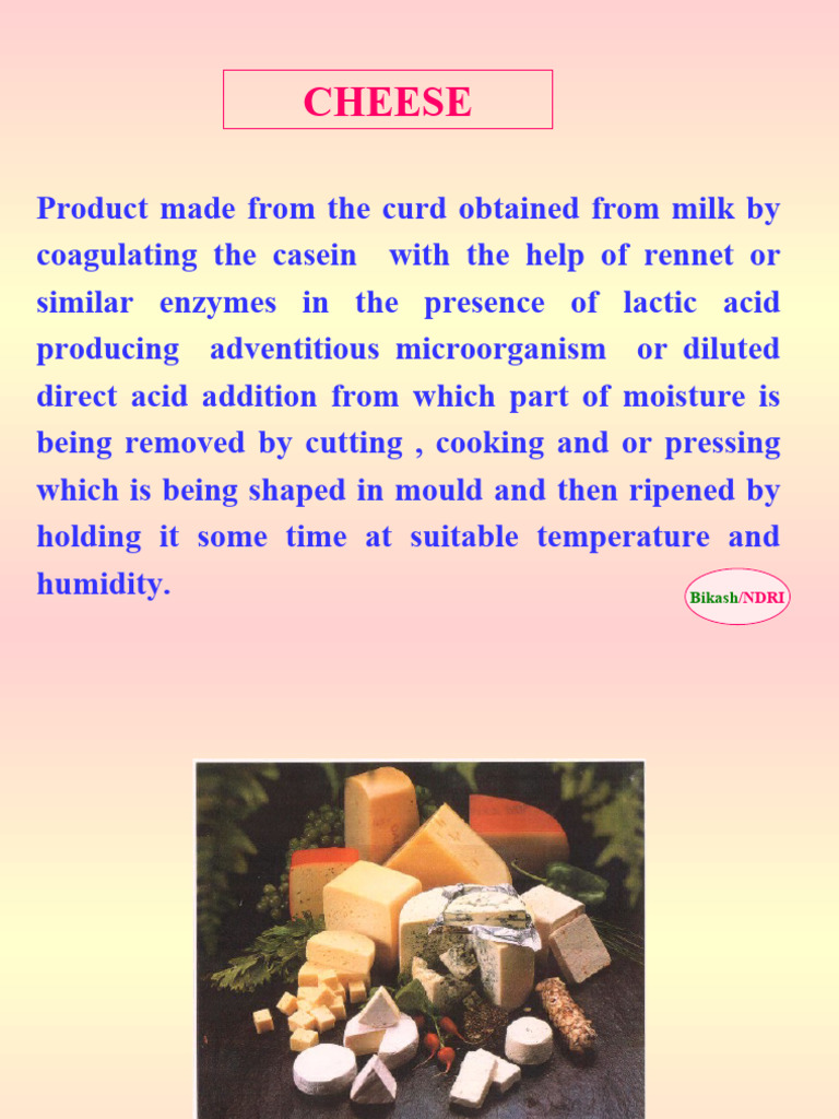 Cheese Types and Production Guide | PDF