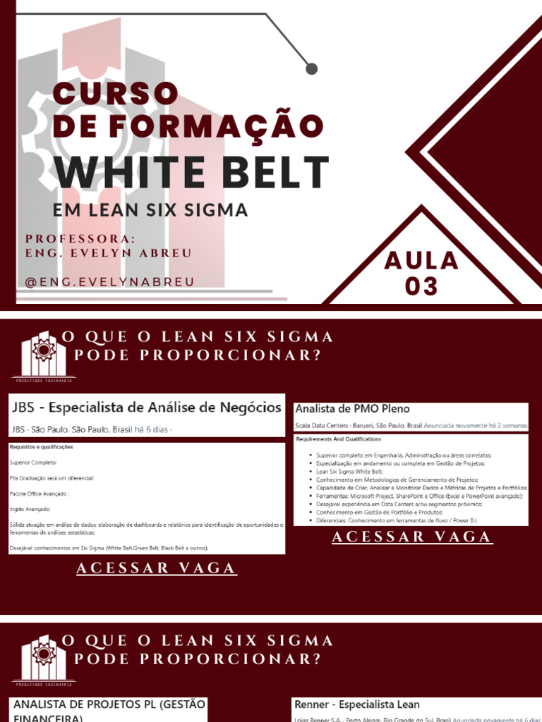 Apostila 3 - White Belt em Lean Six Sigma - 2024 | PDF