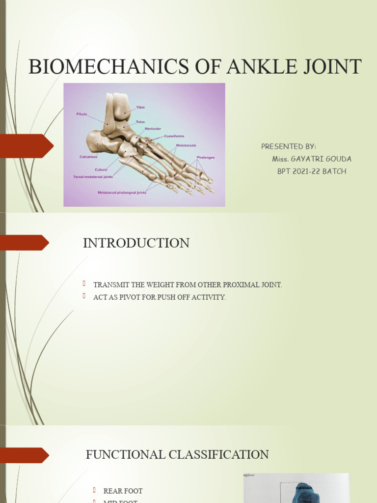 Ankle Joint | PDF | Anatomical Terms Of Motion | Foot