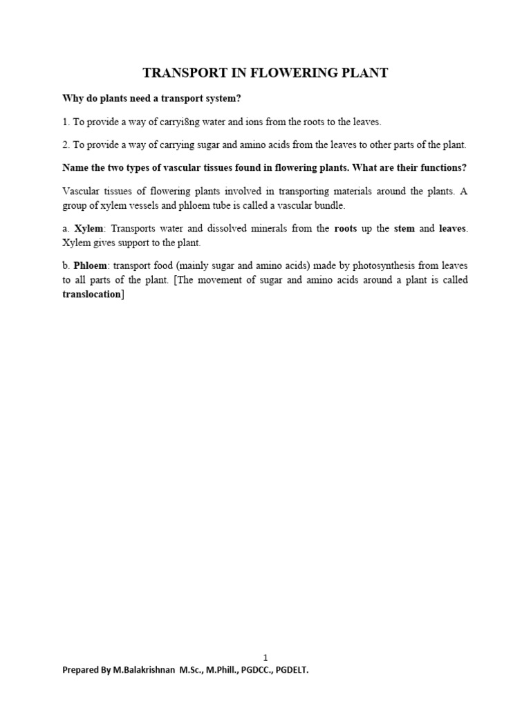 Plant Transport Igcse Biology | PDF