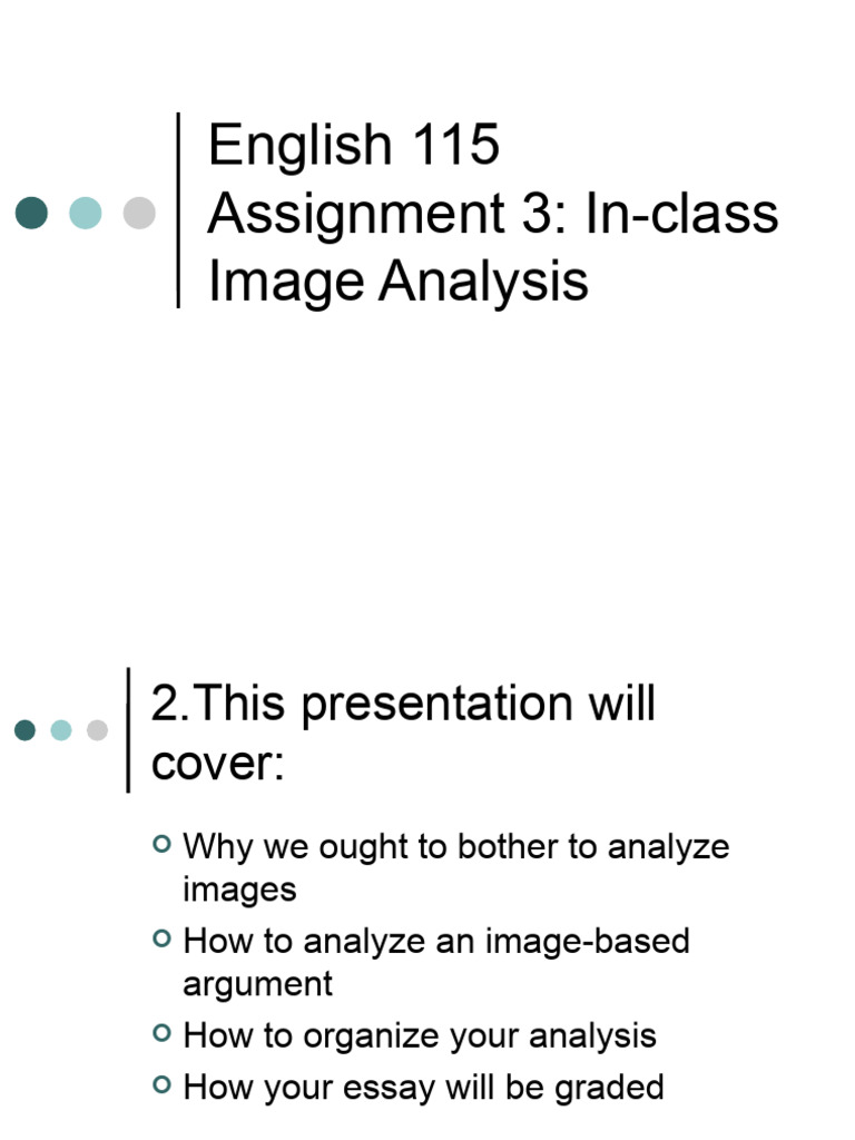 Image Analysis Assignment Guide | PDF | Social Science