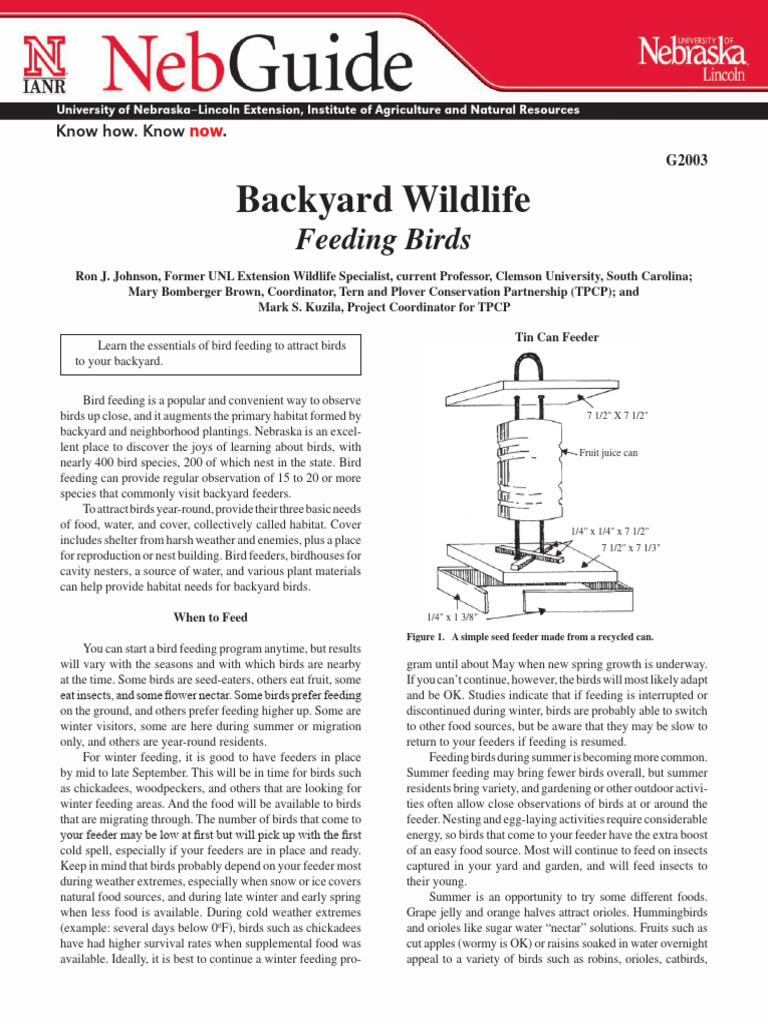 Feeding Birds3 Pdf Birds Ornithology