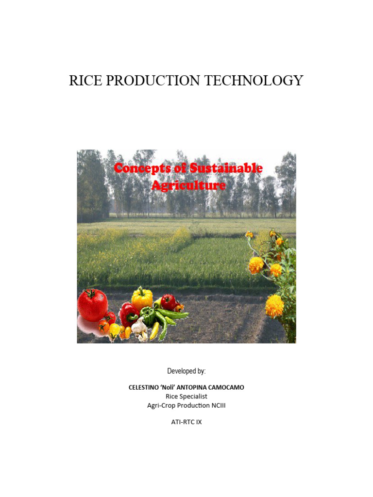 Rice Production Technology | PDF | Fertilizer | Rice