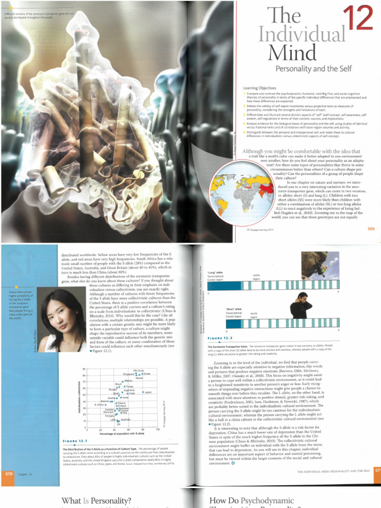 11-The Individual Mind | PDF