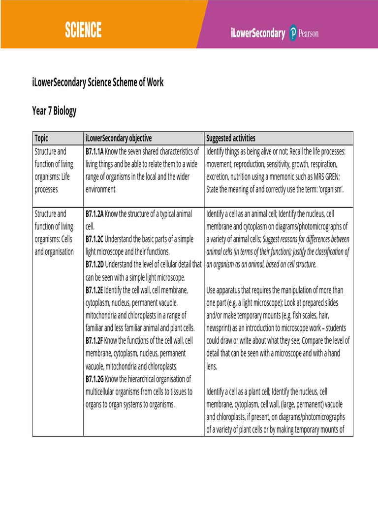Year 7 Science Curriculum Overview | PDF | Voltage | Force
