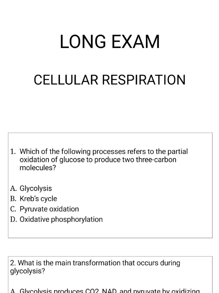 Long Exam Cellular Respiration | PDF