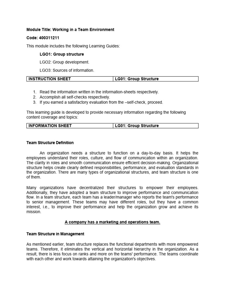 MONTES JASON T. Describe Team Role and Scope | PDF | Leadership ...