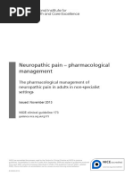 GMMMG Neuropathic Pain Guidance Final Version 8.2 For GMMMG Website | PDF