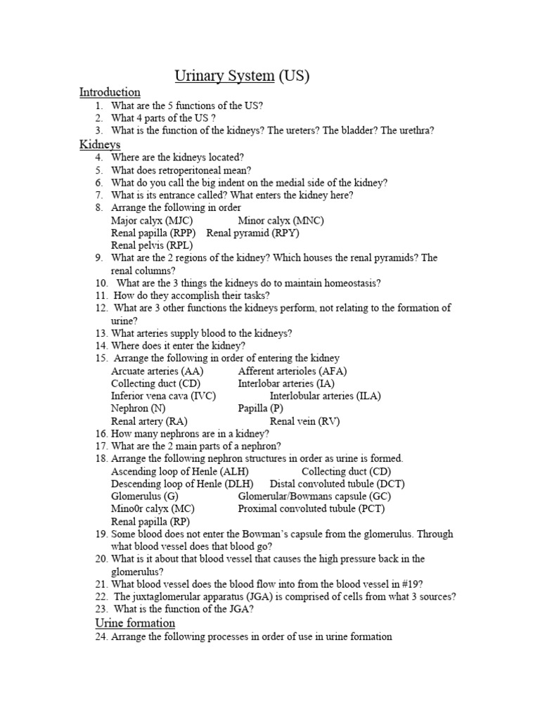 Overview of Urinary System Functions | PDF