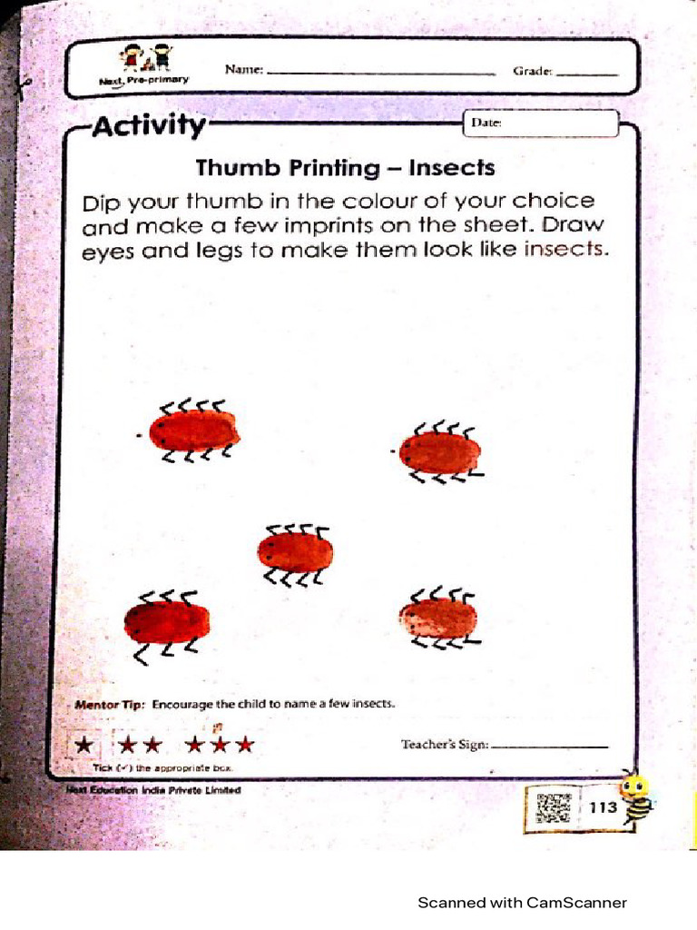 Winter Holiday Homework | PDF