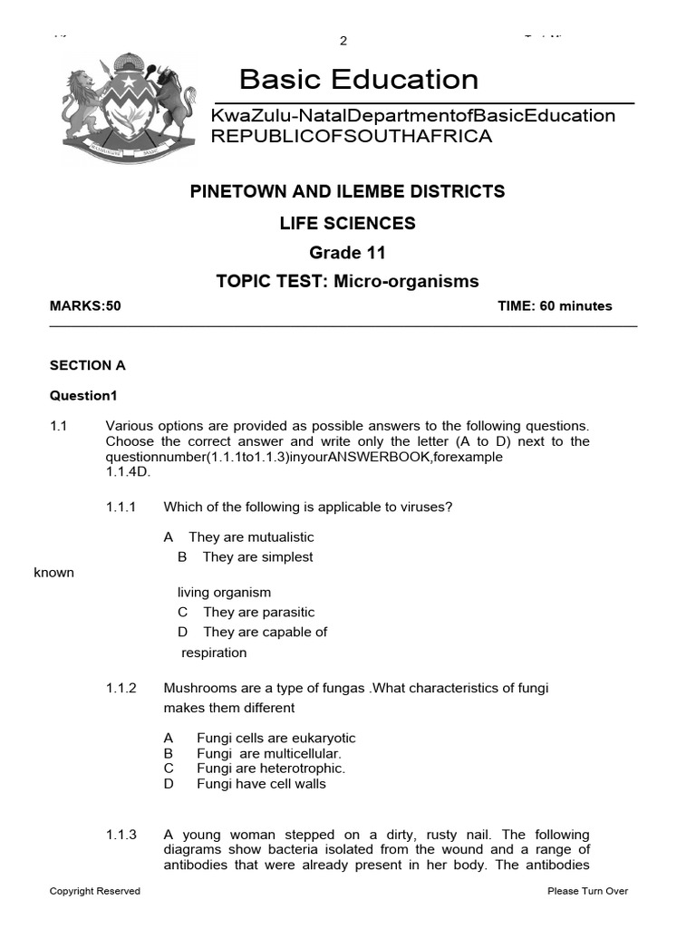 Grade 11 Topic Tests | PDF