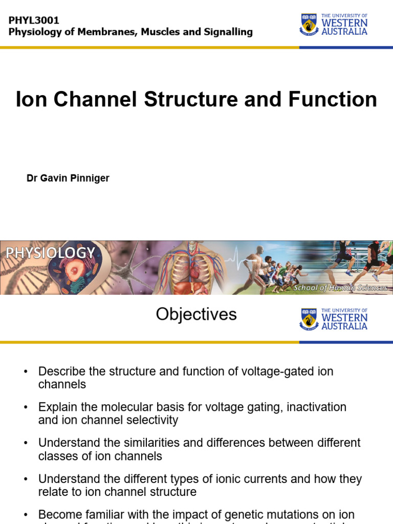Ion Channel Structure and Function | PDF | Ion Channel | Electrophysiology