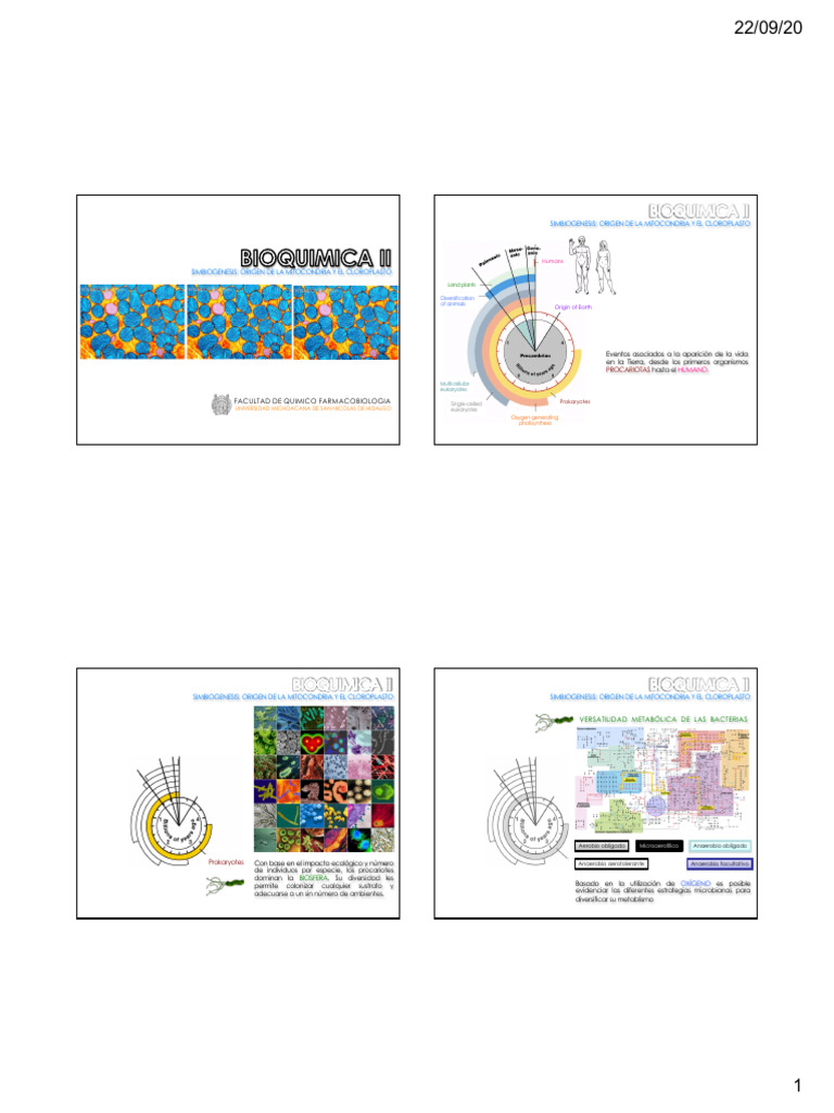 2020 QFB Bioquímica Mitocondria-Cloroplasto | PDF | Cloroplasto ... 2020 QFB Bioquímica Mitocondria-Cloroplasto | PDF | Cloroplasto ...