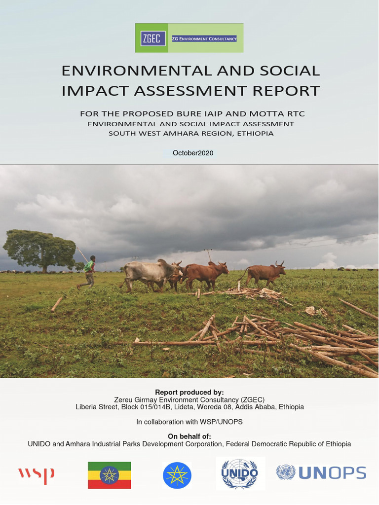 Amhara Iaip Esia Report Revised November 2020 | PDF