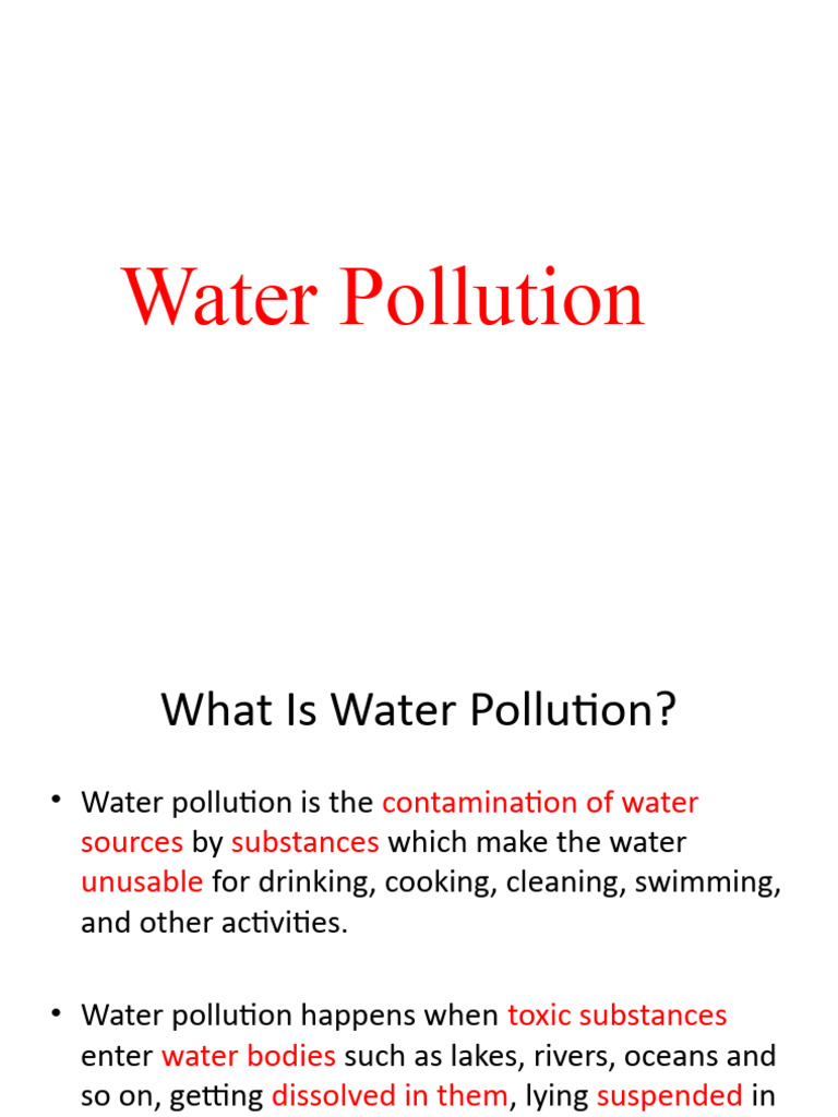 Water Pollution | PDF | Water Pollution | Eutrophication