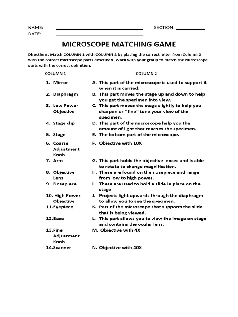 Microscope Parts Matching Game | PDF | Teaching Methods & Materials ...