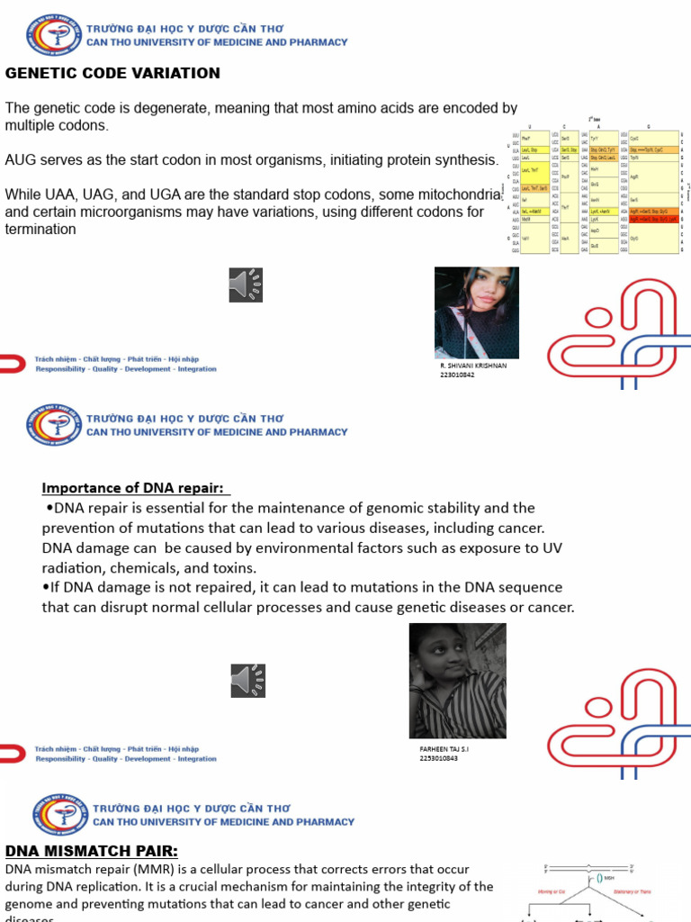 Group4 Nucleic Acid | PDF | Genetic Code | Dna