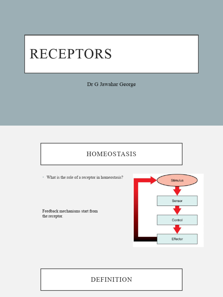 105 Receptors | PDF | Stimulus (Physiology) | Senses
