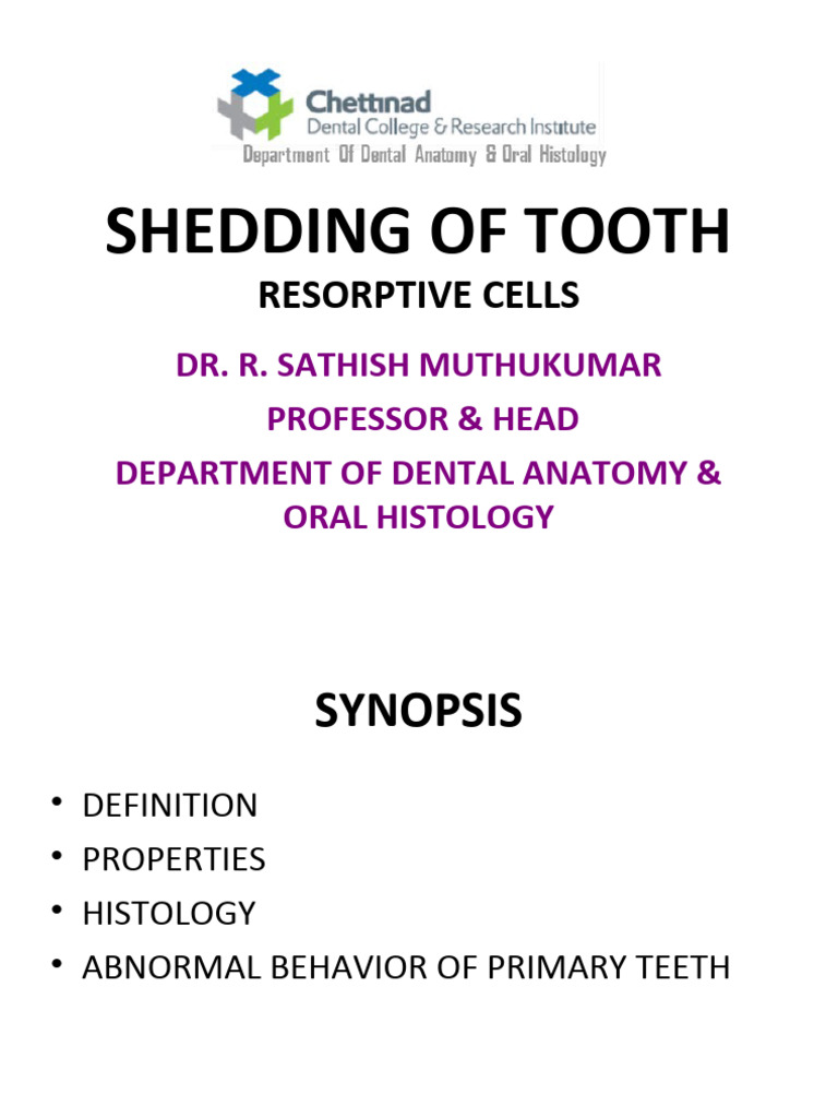 2.shedding of Tooth | PDF | Tooth | Histology