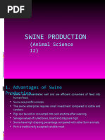 Swine Production Systems Overview | PDF | Pig | Food And Drink