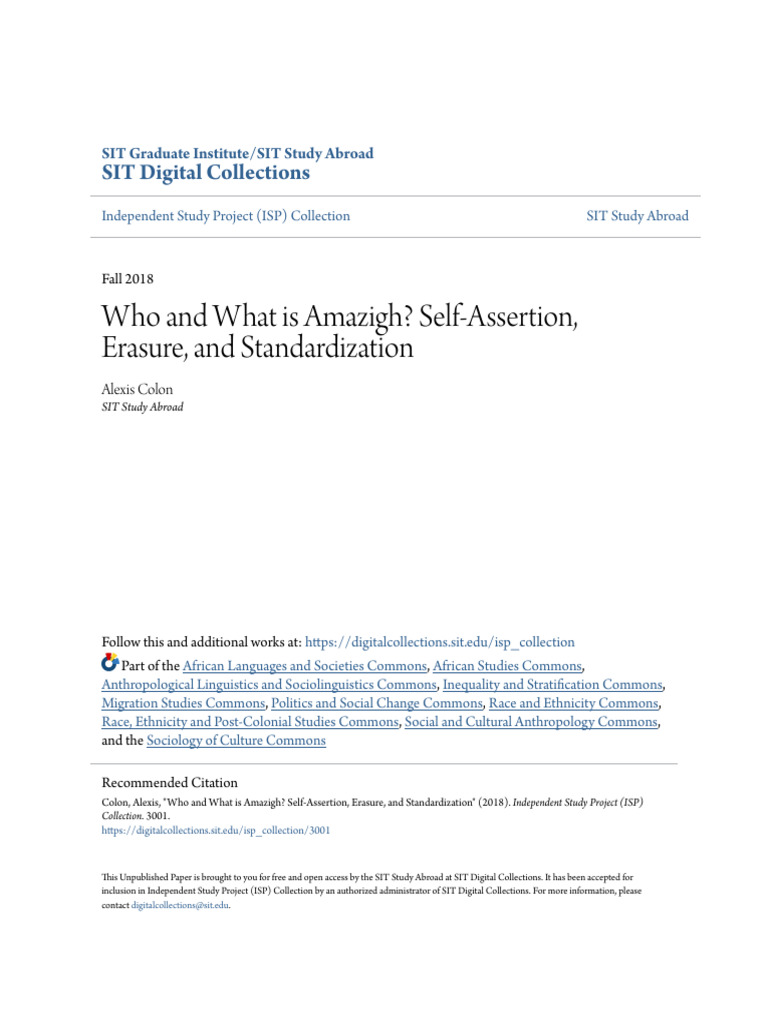 Who and What Is Amazigh - Self-Assertion Erasure and Standardiza | PDF